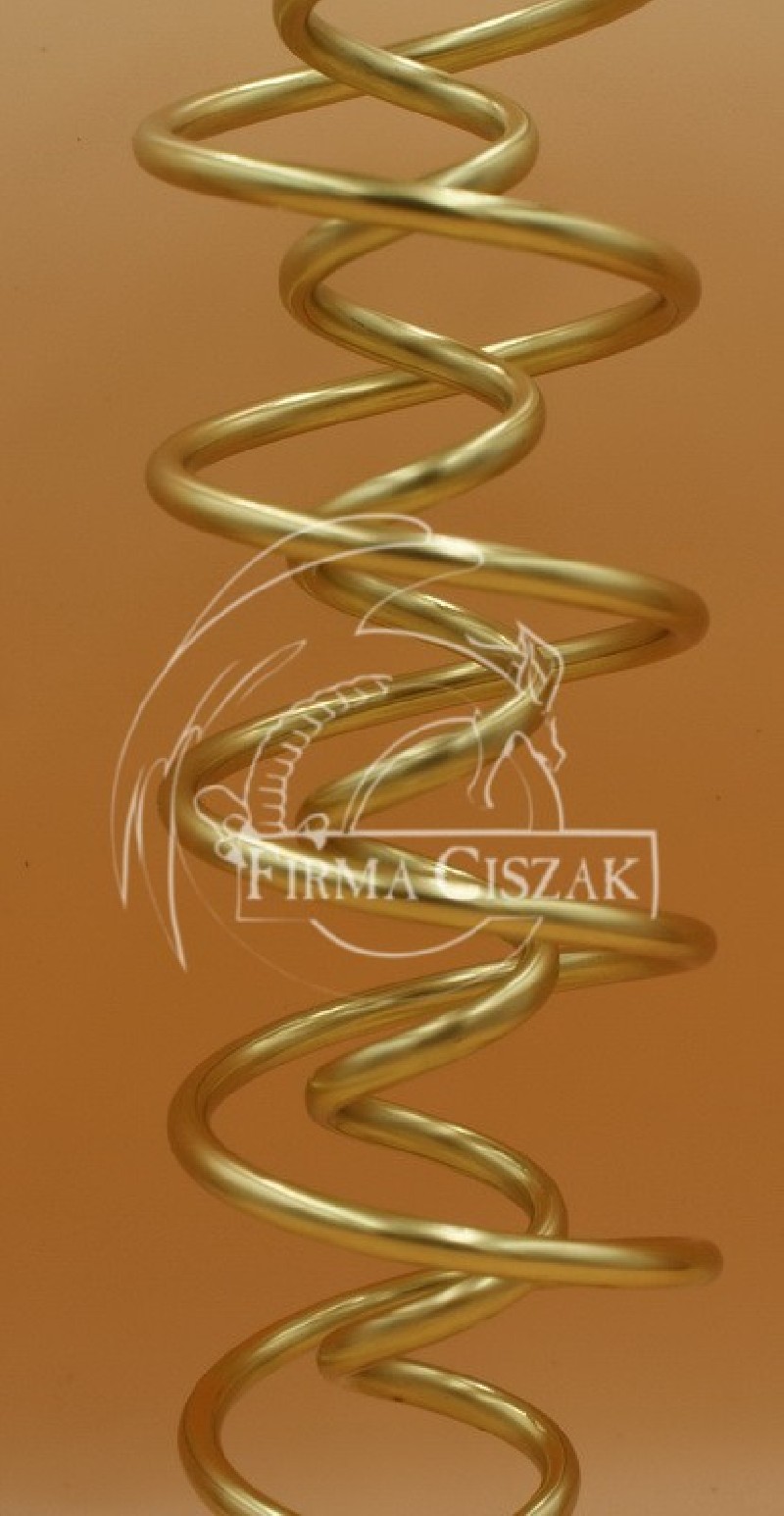 Spirala DNA